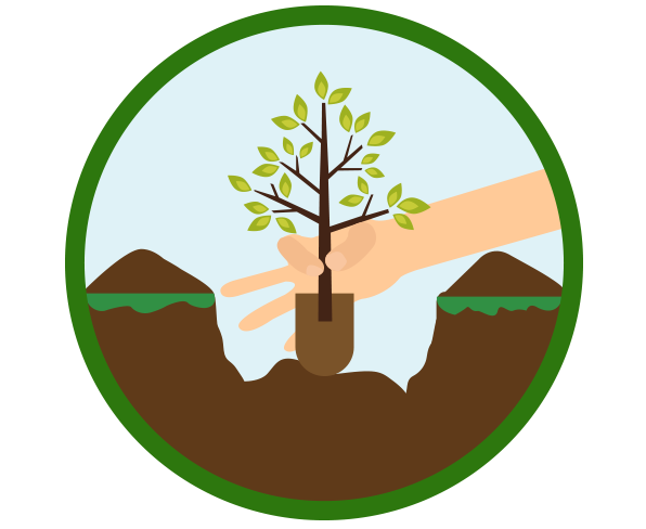 Reforestación 2019 | EBC