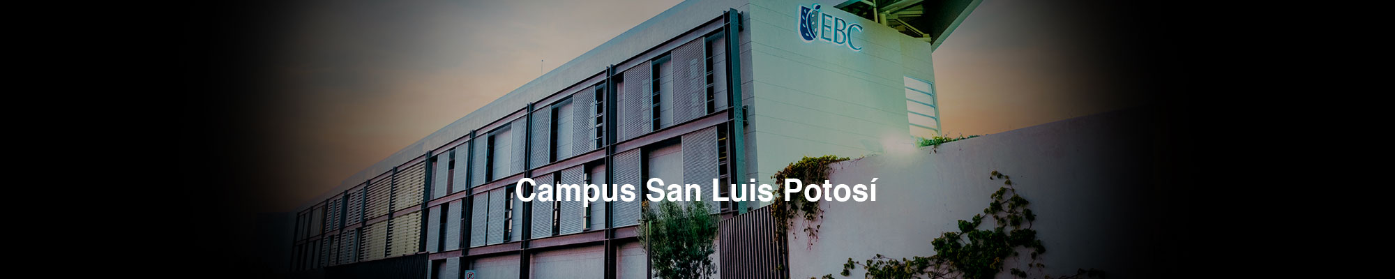 Licenciatura en Programación y Transformación Digital