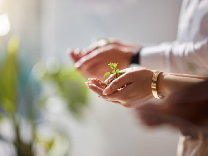 ¿Cómo Crear un Programa de RSE en una Empresa? | Ventana EBC